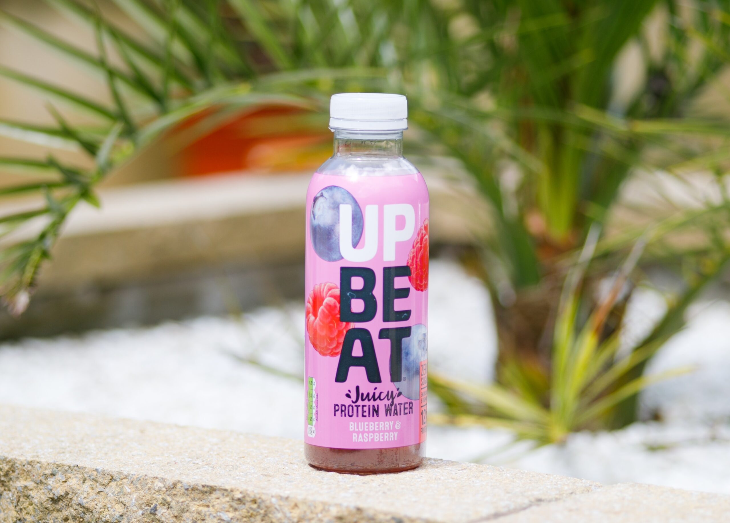 What is Protein Water? Best Products and Ingredients to Avoid