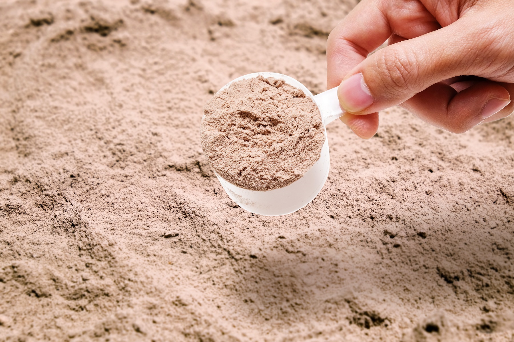Cricket Protein Powder: The Most Sustainable Source?