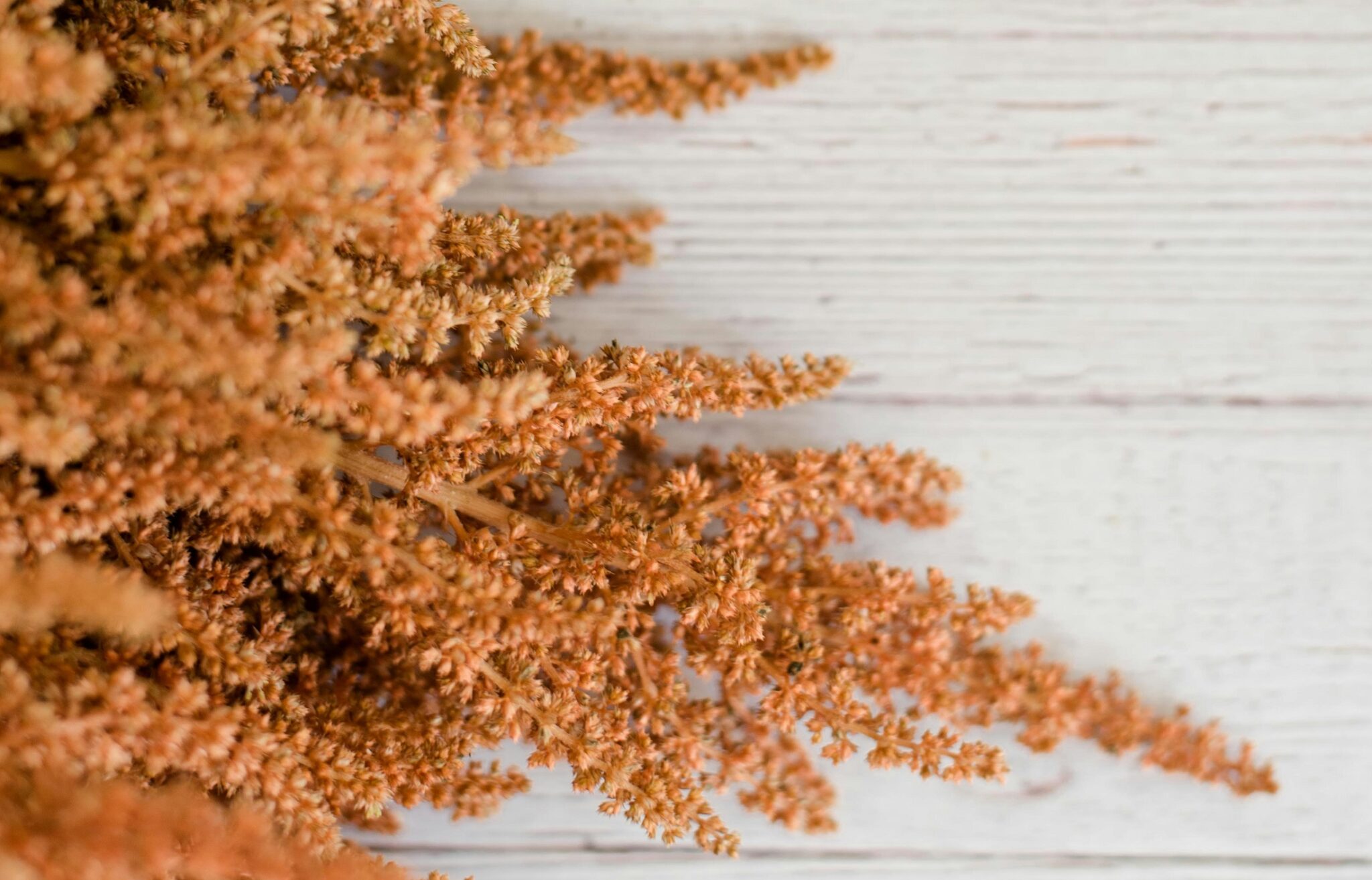 Vegan Protein Sources: 20 Best High-Protein Plant Foods